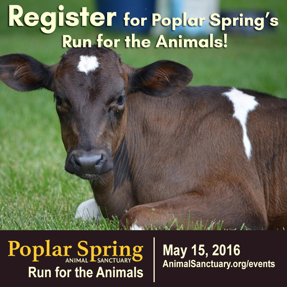 facebook5 | Poplar Spring Animal Sanctuary